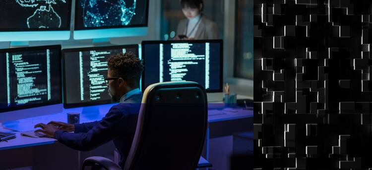 Company | BlueVoyant