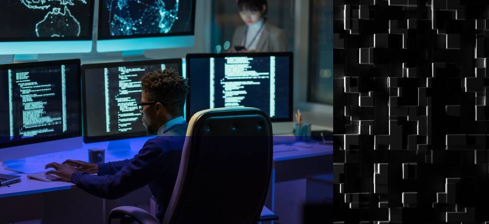 Company | BlueVoyant